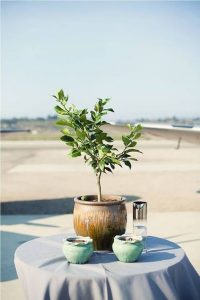 Wedding Ritual Ideas For Your Wedding Ceremony - Make Happy Memories