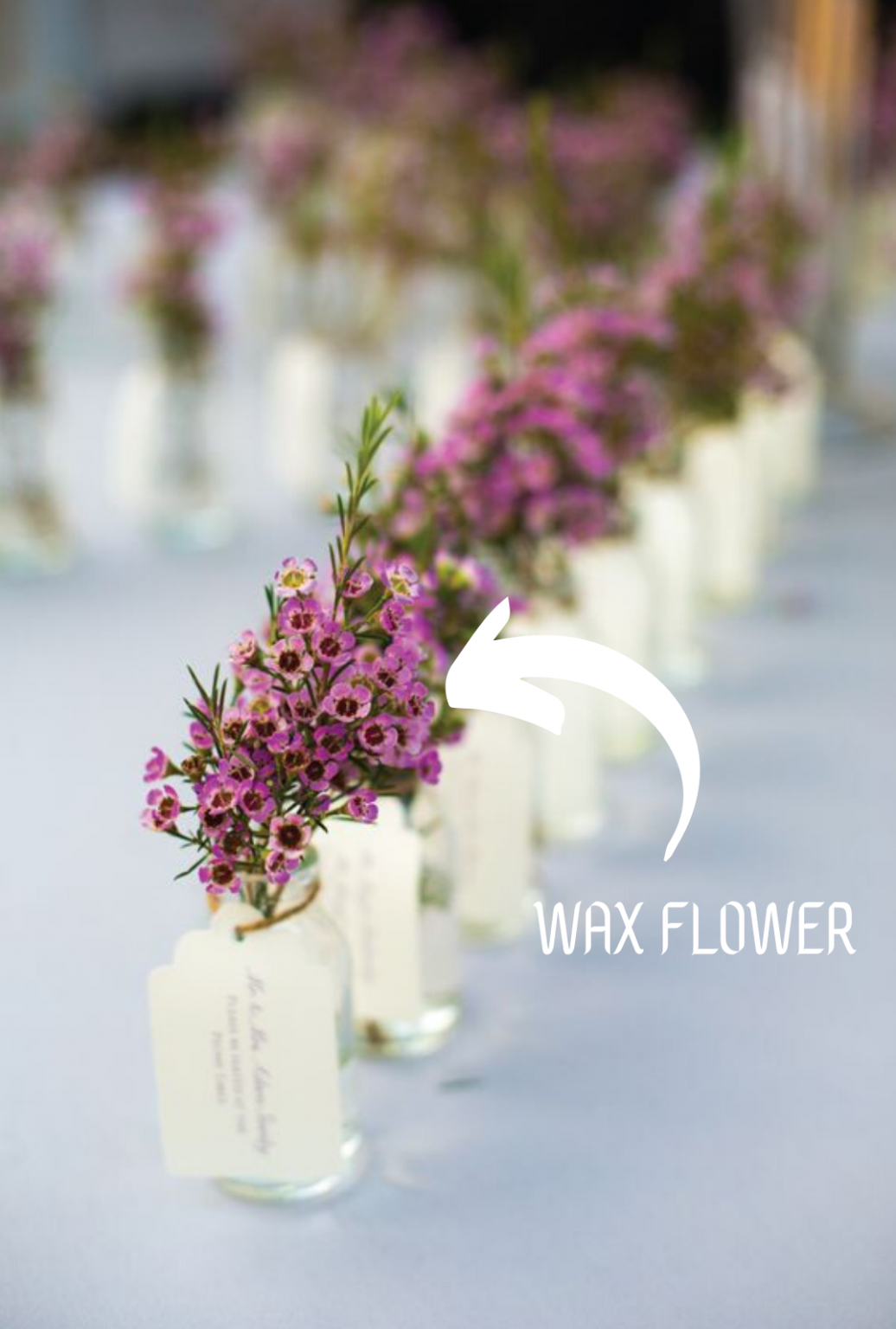 Top 10 Flowers that Look Best for Your Bloom Bottles - Make Happy Memories