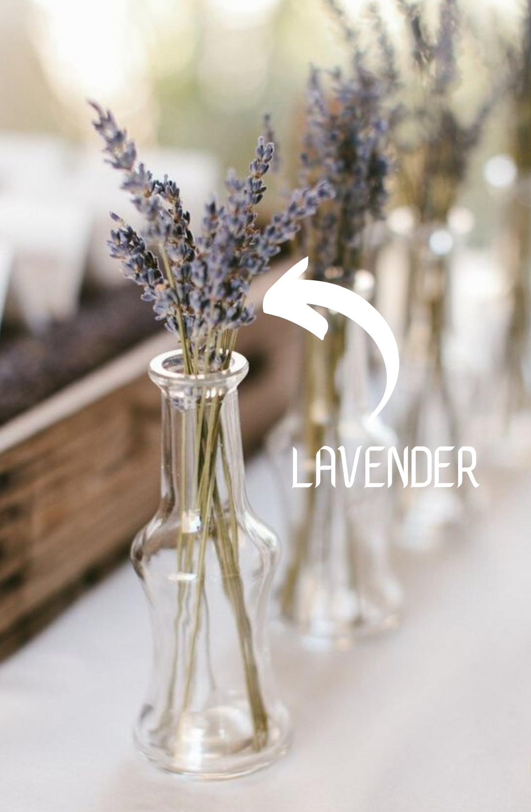 Top 10 Flowers that Look Best for Your Bloom Bottles - Make Happy Memories