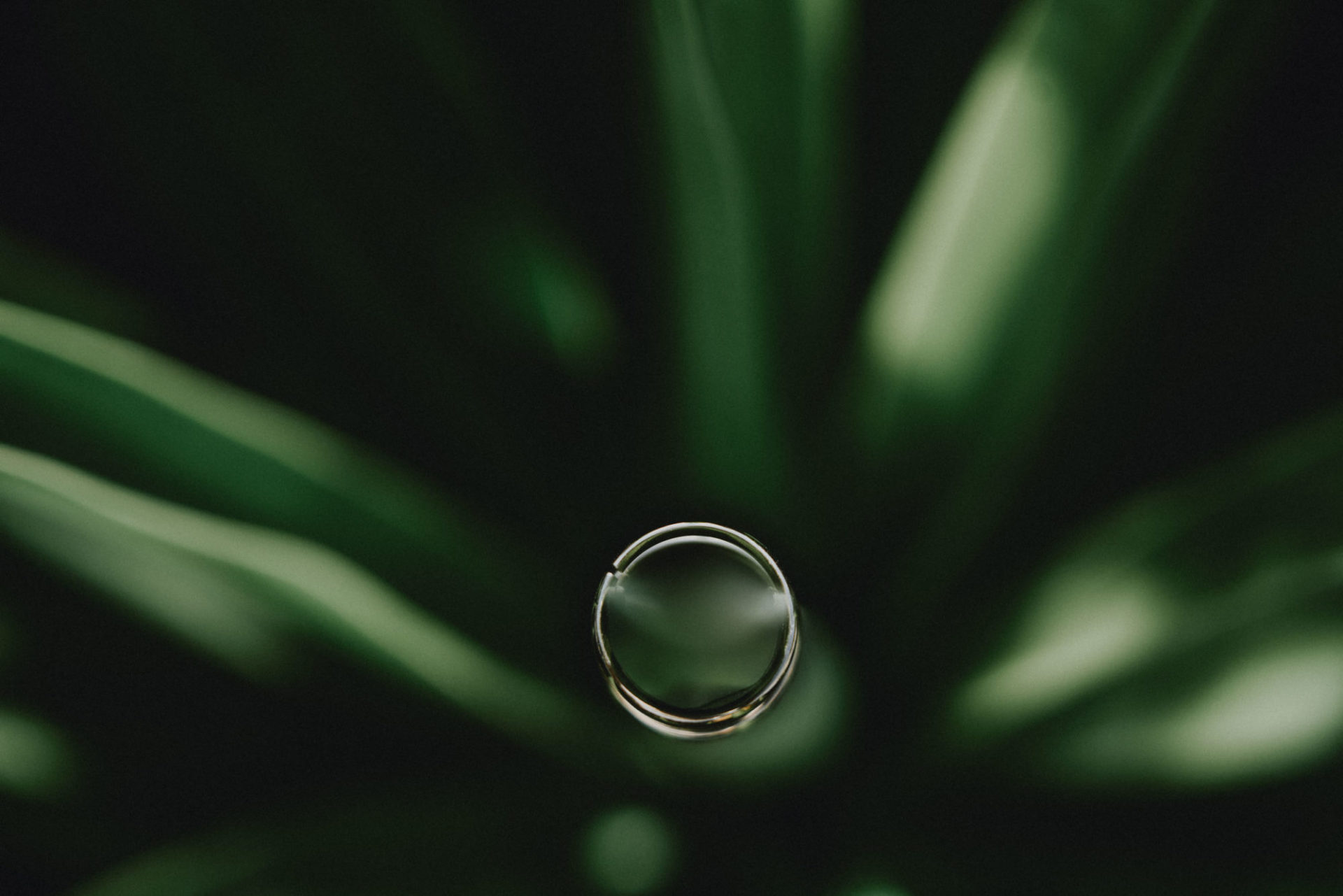 Paros Pulse:Love's Rhythms in Harmony with African Vibes - Make Happy ...